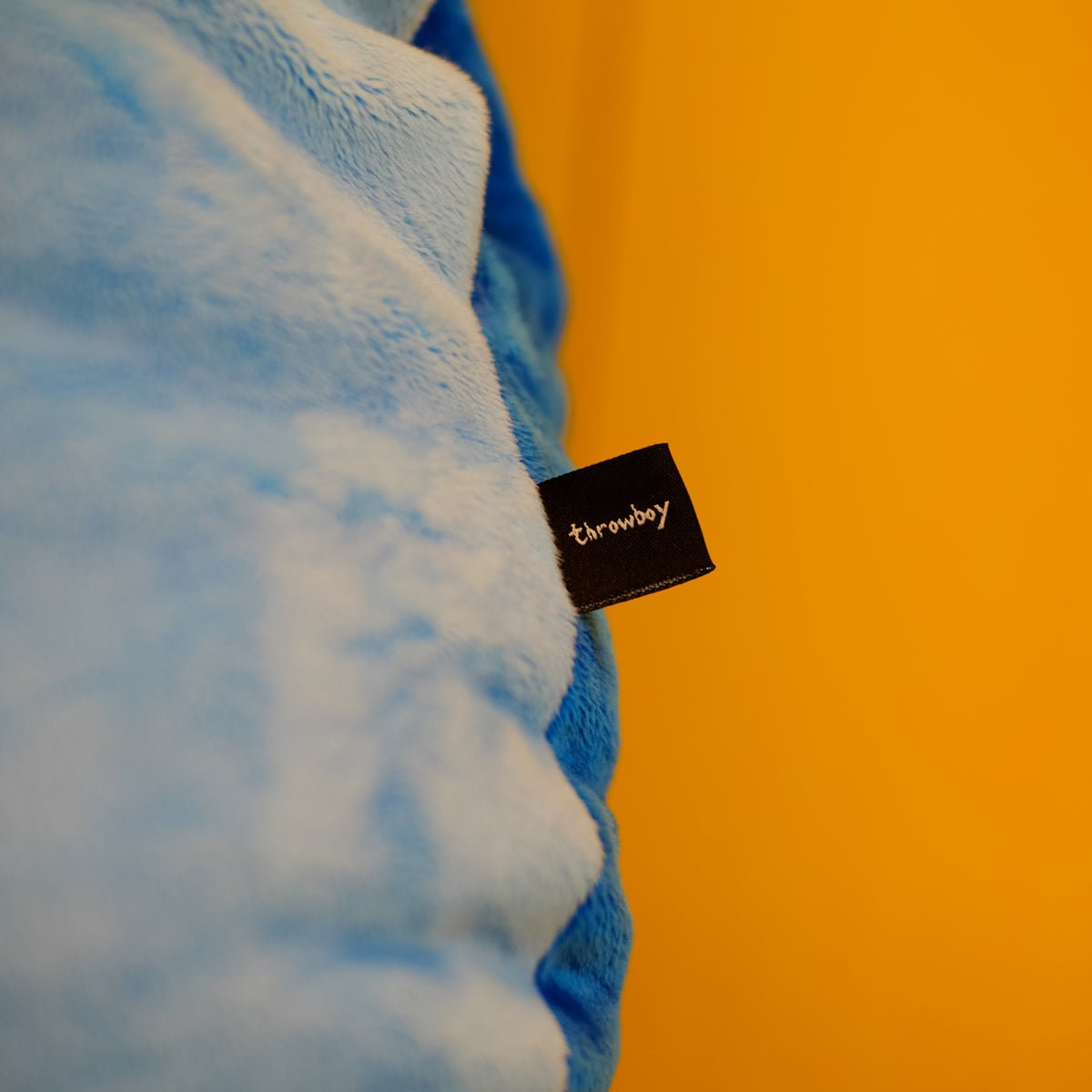 Giant Icon Pillow – Throwboy