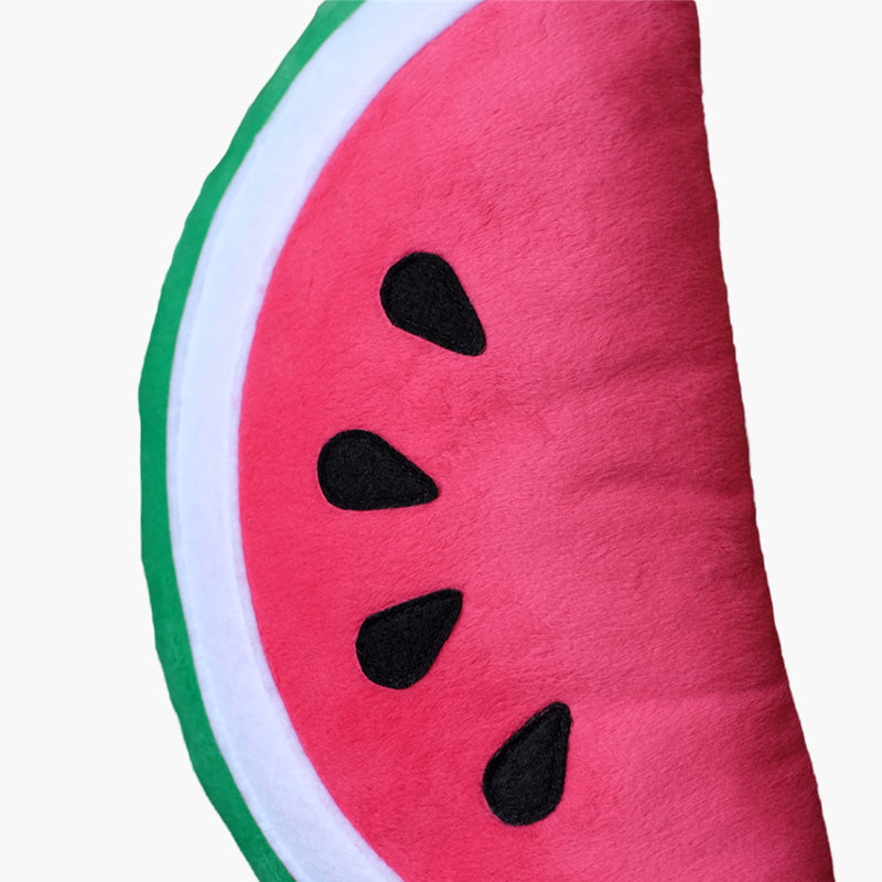 Watermelon Pillow – Throwboy