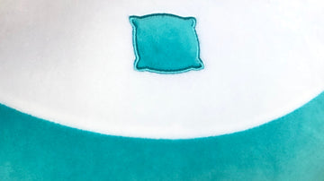 1998 Pillow – Throwboy